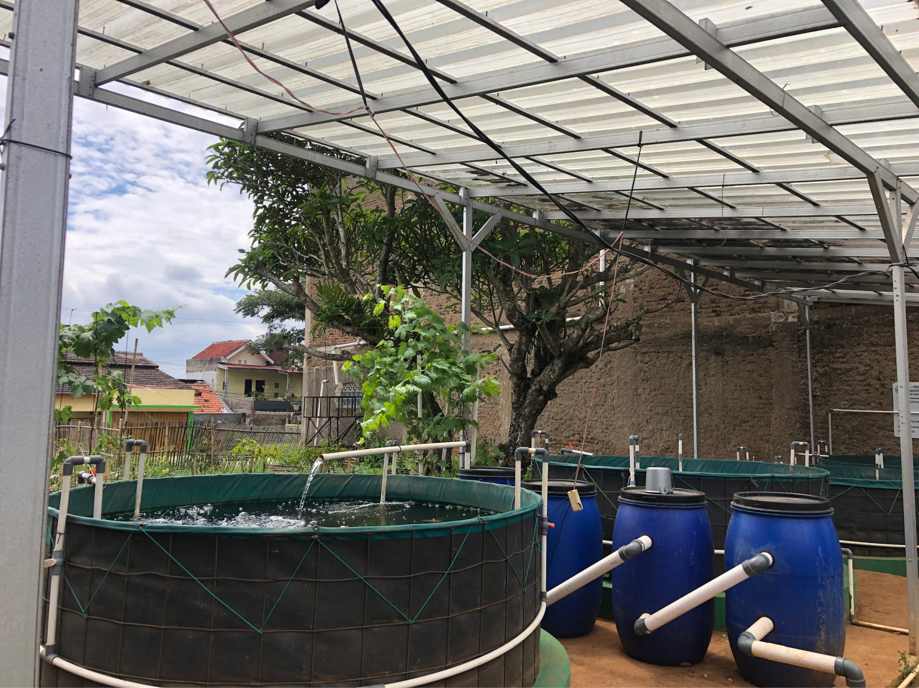 Sistem Bioflok, Solusi Ramah Lingkungan untuk Budidaya Ikan di Cibiru ...